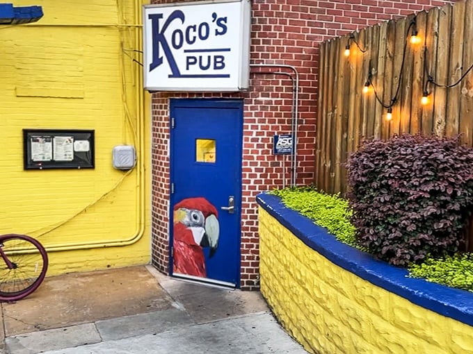 Don't let the quirky parrot door fool you - this neighborhood pub serves seriously spectacular seafood.