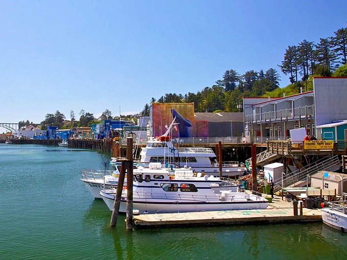 Where working boats and pleasure craft mingle like old friends at the world's most picturesque neighborhood barbecue.