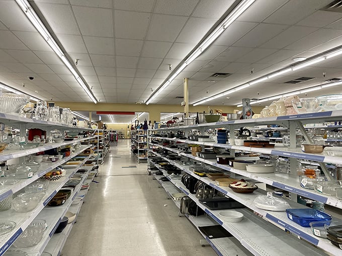 A thrifter's paradise of possibilities! Savers' endless aisles of glassware sparkle under the fluorescent lights like an indoor galaxy.