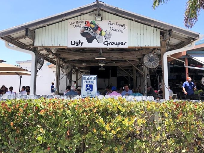 "Live Music Daily, Fun Family Games!" Not just a sign, but a perfect Florida promise delivered under this cheerful roof.