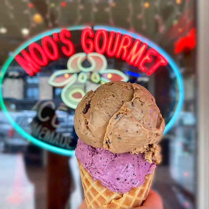 Two scoops of pure happiness, where chocolate and berry meet in a cone-based summit more impressive than any mountain view.