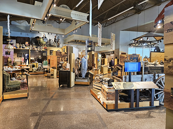 The Knight Museum houses treasures that tell Alliance's story. Each display case is like opening your grandparents' most fascinating attic trunk.