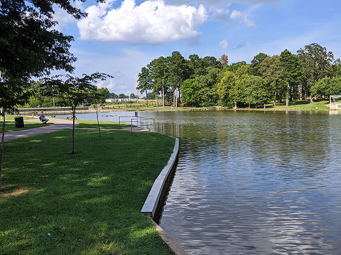 Ballard Park's serene waters reflect Tupelo's commitment to public spaces. Here, healthcare savings translate to quality-of-life investments everyone can enjoy.