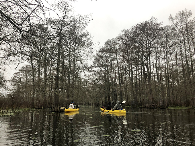 Gliding through cypress-studded waters in yellow kayaks&mdash;nature's cathedral where Spanish moss hangs like chandeliers and silence is the most beautiful sound.