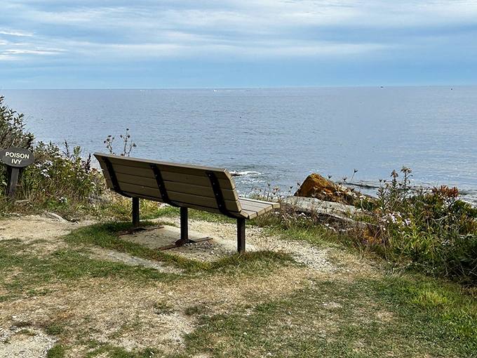"Please be seated, the Atlantic will begin its performance momentarily." This humble bench offers million-dollar views that no theater could match.