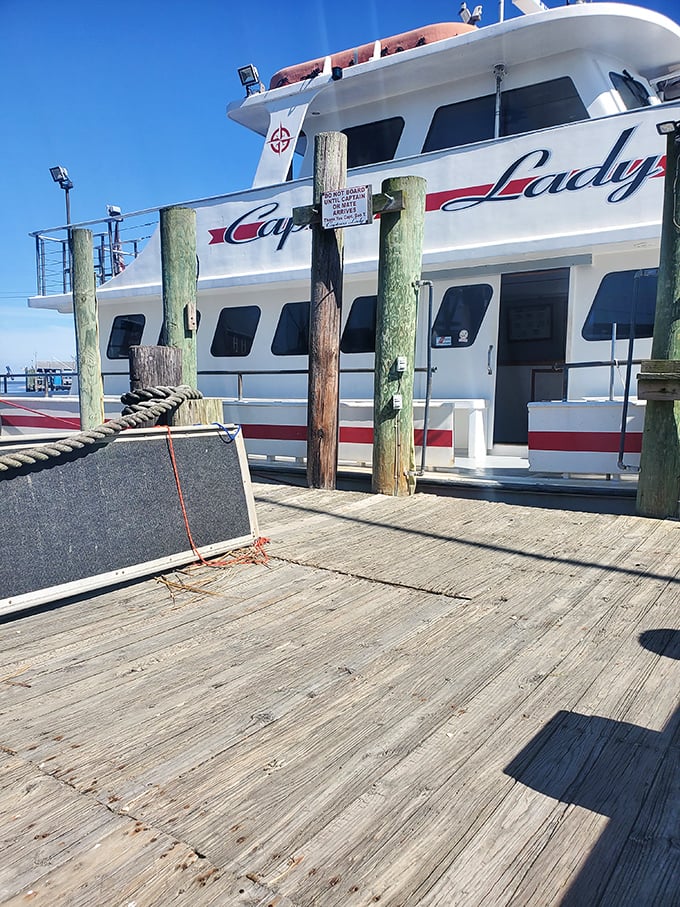 The Captain's Lady stands ready for adventure at the dock. This vessel has probably seen more fish stories than a literary agent specializing in tall tales.