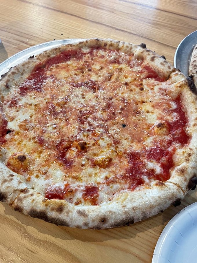 Behold the cheese pizza in all its minimalist glory&mdash;proof that perfection doesn't need to be complicated, just perfectly executed.