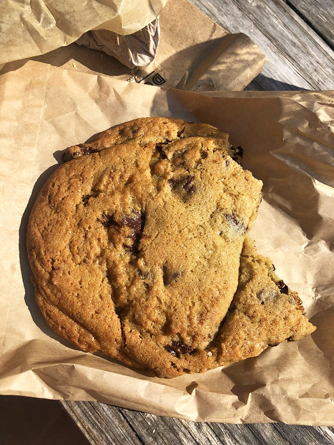 This isn't just a chocolate chip cookie—it's therapy in edible form, with that perfect balance of crisp edge and tender center that makes resistance futile.