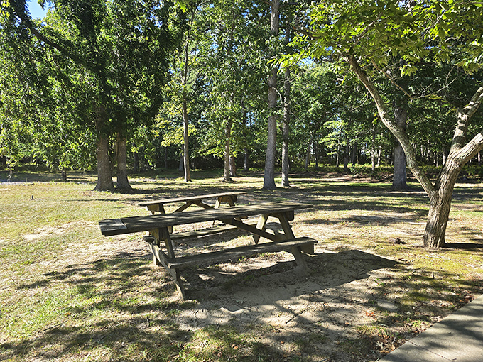 Picnic tables under dappled shade offer nature's dining room, where the only reservation required is the good sense to bring a sandwich.