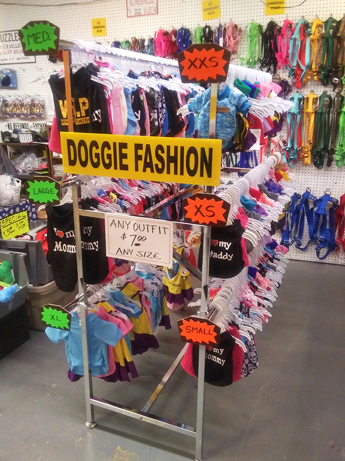 Who said fashion has gone to the dogs? This canine couture collection proves our four-legged friends deserve their own retail therapy moments too.