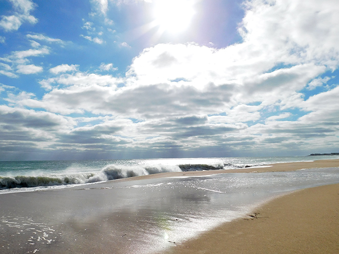 Mother Nature's mood ring. East Beach shifts from serene to dramatic as waves sculpt the shoreline, creating a hypnotic rhythm that washes away your everyday worries.