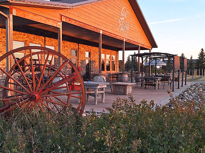 Fluffy Fields Vineyard's rustic patio, where wagon wheels meet wine glasses, offers sunset views that pair perfectly with local vintages and prairie breezes.