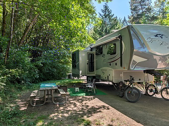 Home sweet temporary home! This campsite offers five-million-star accommodations with a ceiling of Douglas fir and soundtrack by Mother Nature.