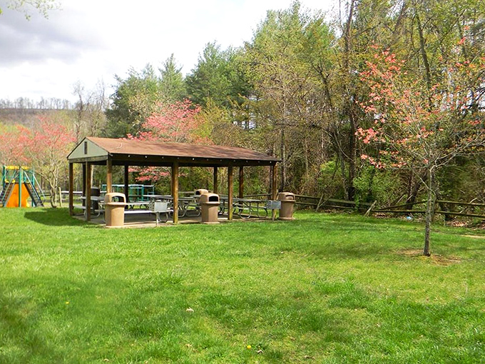 Spring picnics under flowering dogwoods. This park pavilion has hosted more family reunions than Facebook, and with better potato salad.