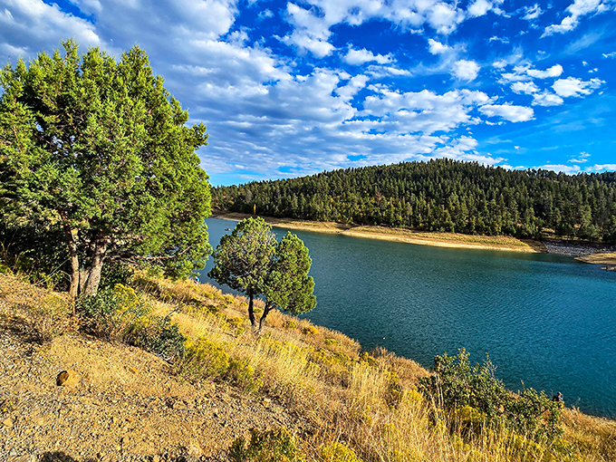 Grindstone Lake proves that New Mexico can do serene mountain waters just as well as any postcard from Colorado.
