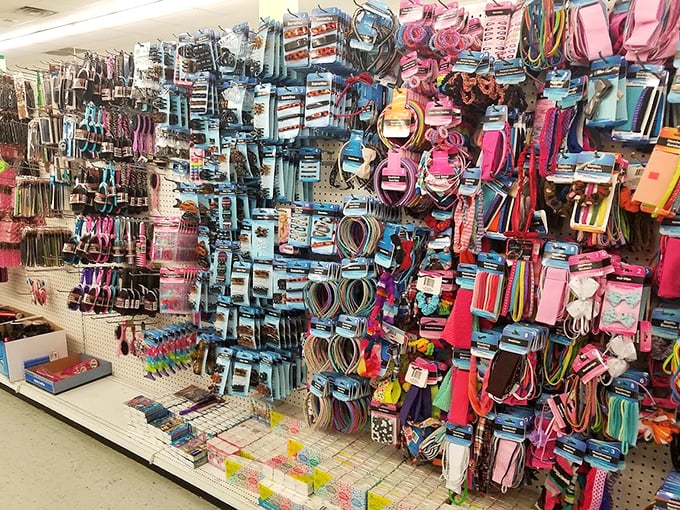 A rainbow explosion of hair accessories that would make any 80s pop star jealous. Organizational chaos never looked so appealing.