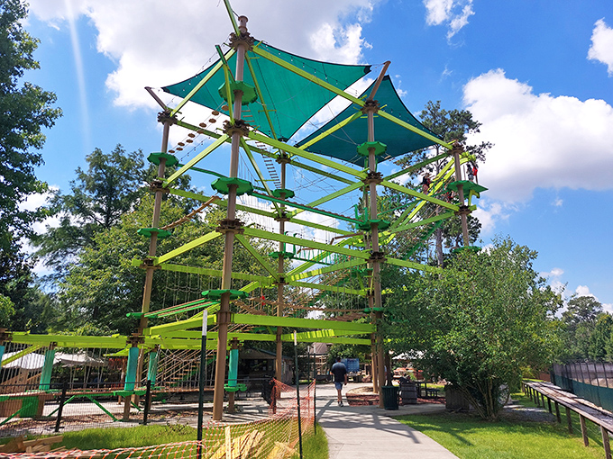 Adventure comes in all sizes at Hattiesburg Zoo. This climbing structure proves you're never too old to conquer new heights&mdash;just maybe too wise.