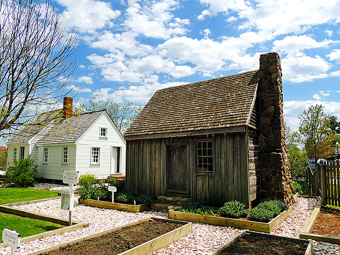History you can touch! The Mitchell House and heirloom garden offer a glimpse into colonial life without the inconvenience of dysentery or powdered wigs.