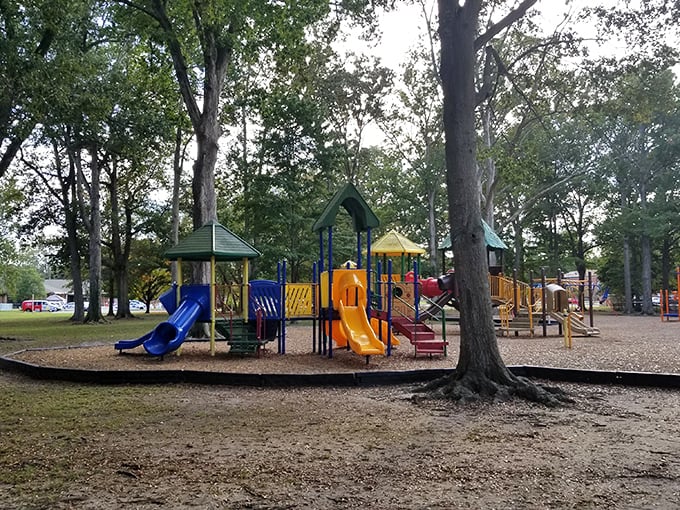 Herman Park's colorful playground offers retirees a perfect spot to entertain visiting grandchildren, with shaded areas that keep both generations comfortable during afternoon adventures.