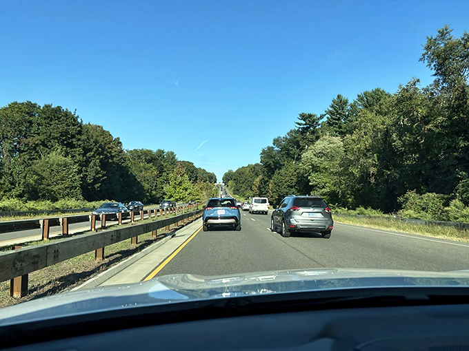 The road less decorated? Not here! The Merritt proves that even rush hour can have a silver lining when surrounded by this much green.