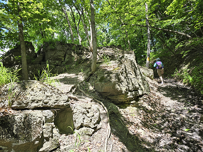 Nature's stairmaster with limestone accents. Hiking trails around Grafton challenge your quads while rewarding your soul with ancient rock formations.
