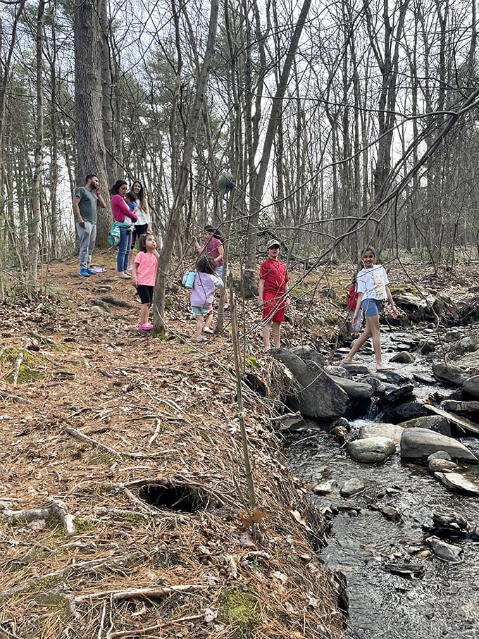 Nature's playground awaits as families explore Leominster's woodland trails, where kids discover the joy of hopping across streams instead of swiping screens.