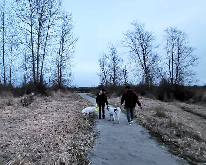 Evening dog walks in Colebrook offer tranquility that city dwellers pay therapists to achieve. The North Country's natural stress reliever.