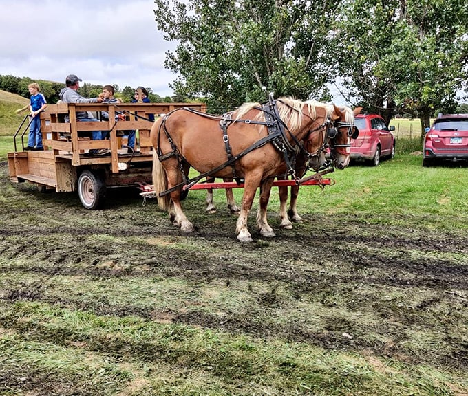 Time travel isn't theoretical at Fort Ransom&mdash;it's harnessed to Belgian horses. These magnificent animals pull visitors through history during special events.
