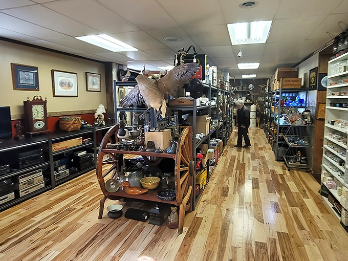 Inside reveals the TARDIS-like quality of the market &ndash; impossibly larger than the exterior suggests, with treasures stretching into infinity.