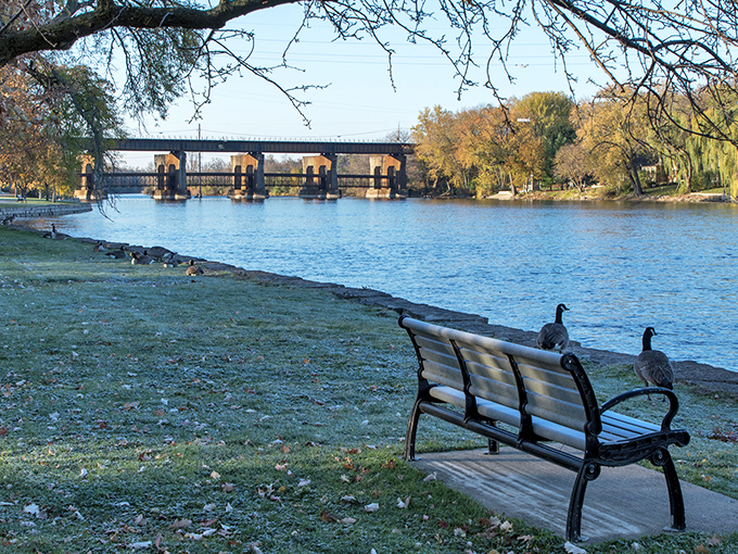 A bench, some geese, and the Fox River&mdash;nature's perfect recipe for contemplation. Island Park offers serenity just steps from downtown bustle.