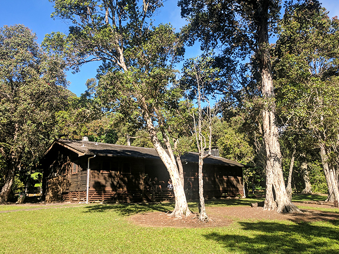 Rustic cabins that whisper "digital detox." This peaceful retreat at Kalōpā State Recreation Area offers the luxury of simplicity among ancient trees.