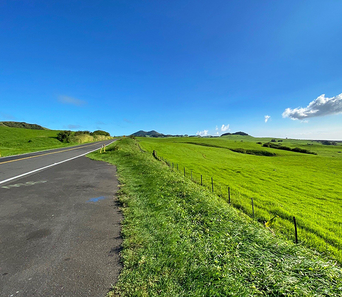 The road to Hawi offers the kind of views that make passengers frantically reach for their cameras while drivers grip the wheel, fighting the urge to stare.