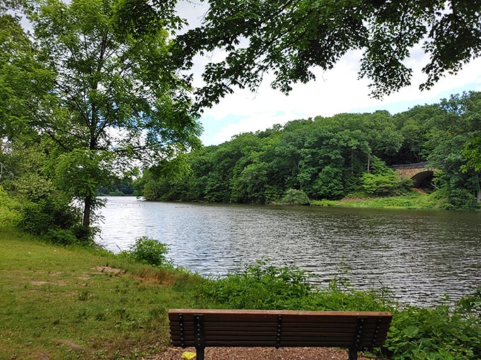 Mill Creek Park's serene waters offer the kind of peaceful retreat that makes you forget you're minutes from downtown. Nature's therapy session, no appointment needed.