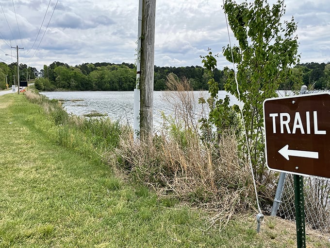 Follow the arrow to tranquility&mdash;this lakeside trail promises more wildlife encounters than your average social media feed.