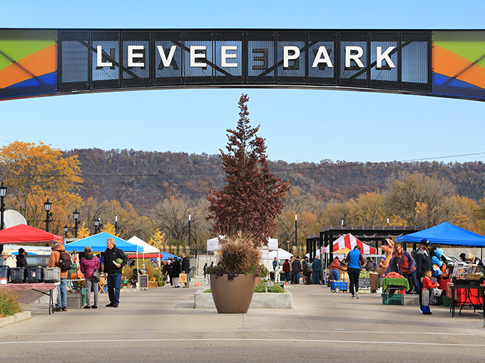Levee Park's farmers market transforms shopping into socializing, where conversations flow as freely as the nearby Mississippi River.