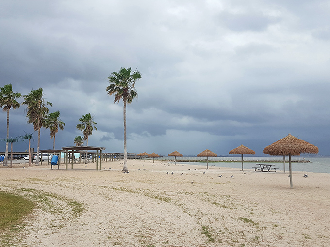 Thatched palapas dot the shoreline like tropical umbrellas in a cocktail, offering shade without the South Beach price tag or attitude.