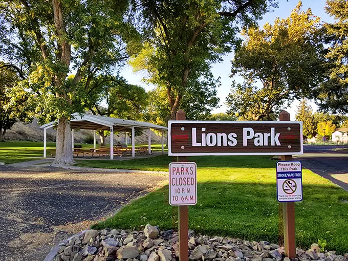 Lions Park delivers that perfect small-town green space where kids can burn energy while parents pretend they're not exhausted from sightseeing.