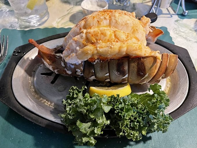 Not all heroes wear capes &ndash; some wear shells. This Australian lobster tail is the Godzilla of seafood, commanding respect with every succulent bite.