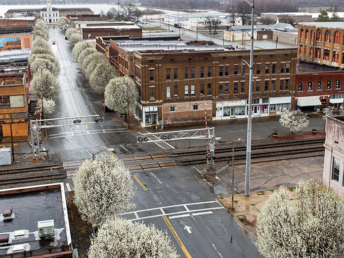 Spring in Pine Bluff transforms the cityscape into a painter's dream, with Bradford pear trees creating a canopy of white blossoms over historic streets.