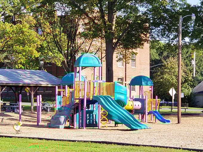 This playground isn't just equipment; it's where generations of Marietta kids have conquered their first slides and mastered the art of swing pumping.