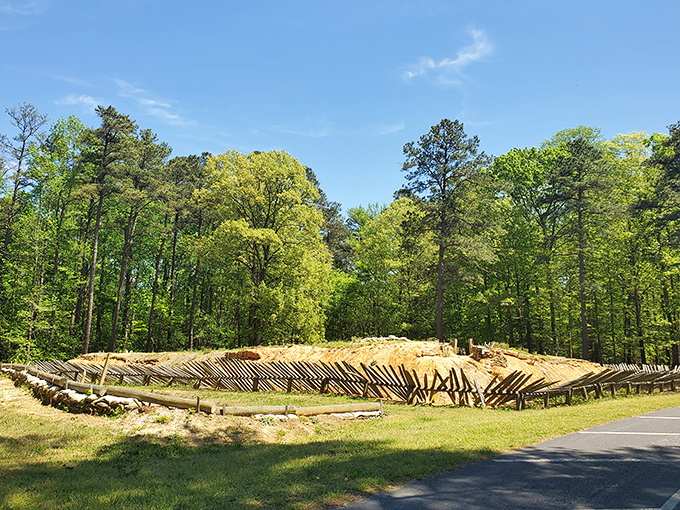 Civil War history comes alive at Petersburg National Battlefield, where these reconstructed fortifications remind us that freedom wasn't free. The wooden barriers tell silent stories of sacrifice.