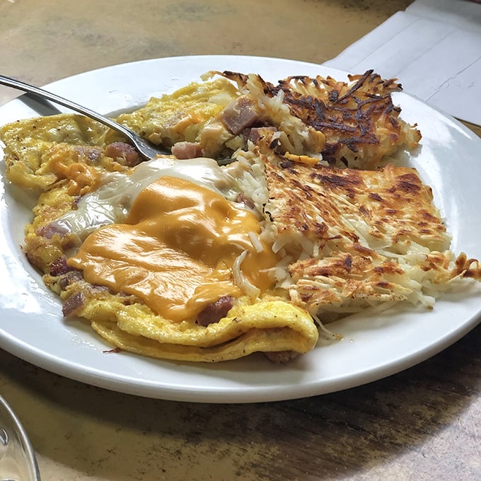 This isn't just an omelet &ndash; it's a masterpiece of melted cheese cascading over perfectly folded eggs, with hashbrowns crisped to golden perfection.