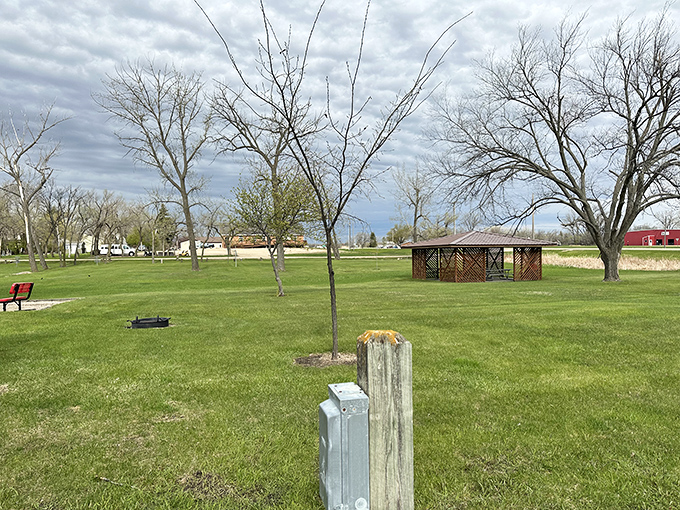 Oster Park's gazebo and open green spaces offer a tranquil retreat where the only deadline is sunset and the only notification is birdsong.