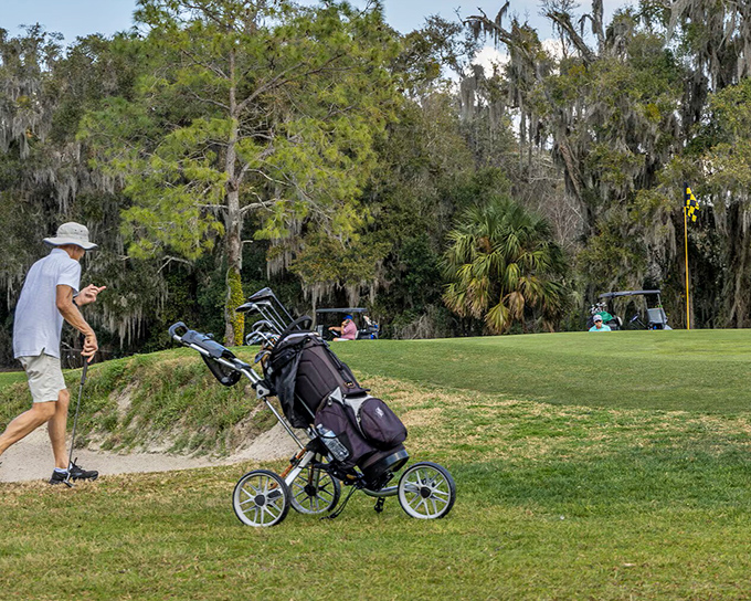 Golf in Palatka isn't just about the score; it's about playing through Spanish moss and sunshine while herons critique your swing.