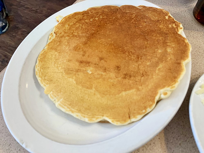 Behold the pancake in its natural habitat&mdash;golden, perfectly round, and ready to soak up maple syrup like it's training for an Olympic event.