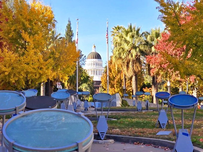 Fall's golden palette transforms Capitol Park into a different kind of masterpiece, with the iconic dome peeking through like a proud parent.