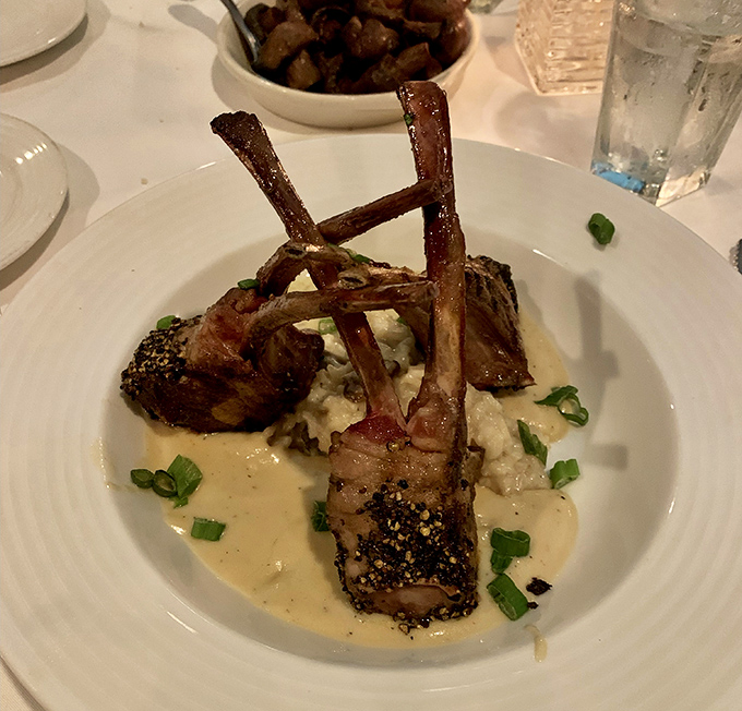 Lamb chops standing at attention like meaty soldiers, resting on creamy mashed potatoes and bathed in a sauce you'll want to bottle and take home.