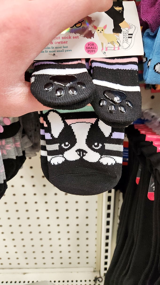 Tiny socks for tiny paws! These adorable dog accessories prove that even our four-legged friends deserve affordable fashion statements.