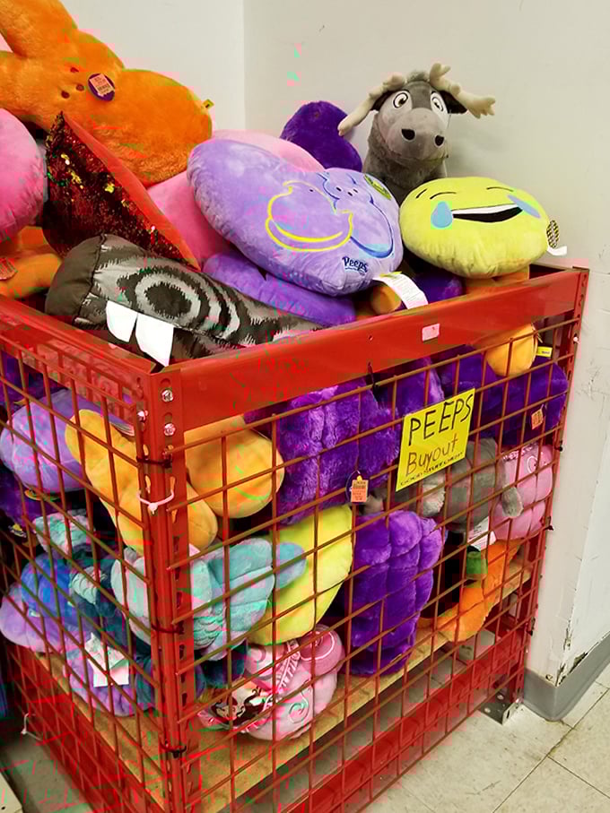 Plush paradise! This bin of cuddly companions includes everything from emoji pillows to stuffed moose, all priced to make both kids and wallets happy.