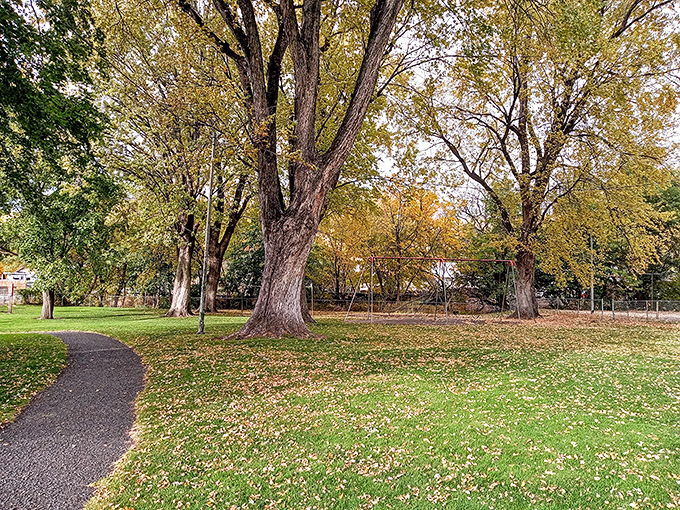 Nature's cathedral of mature trees creates a peaceful sanctuary in Pomeroy City Park. Fall's golden carpet invites contemplation away from big-city chaos.
